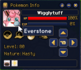 Held Item - otPokemon Wiki